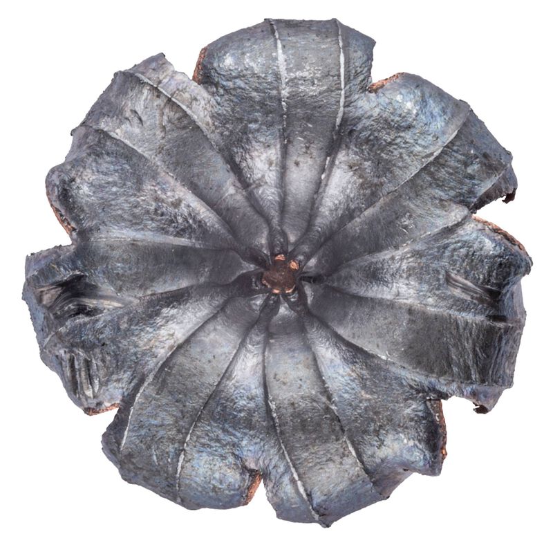 Buy Gold Dot Handgun Personal Protection for USD 44.99 | Speer