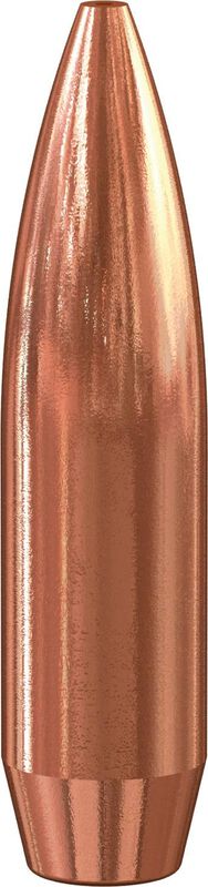 Target Match Rifle Bullet