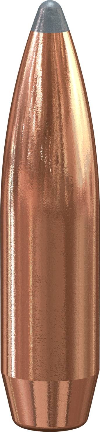 Buy Boat-Tail Rifle Bullet, .284, 160 Grain | Speer